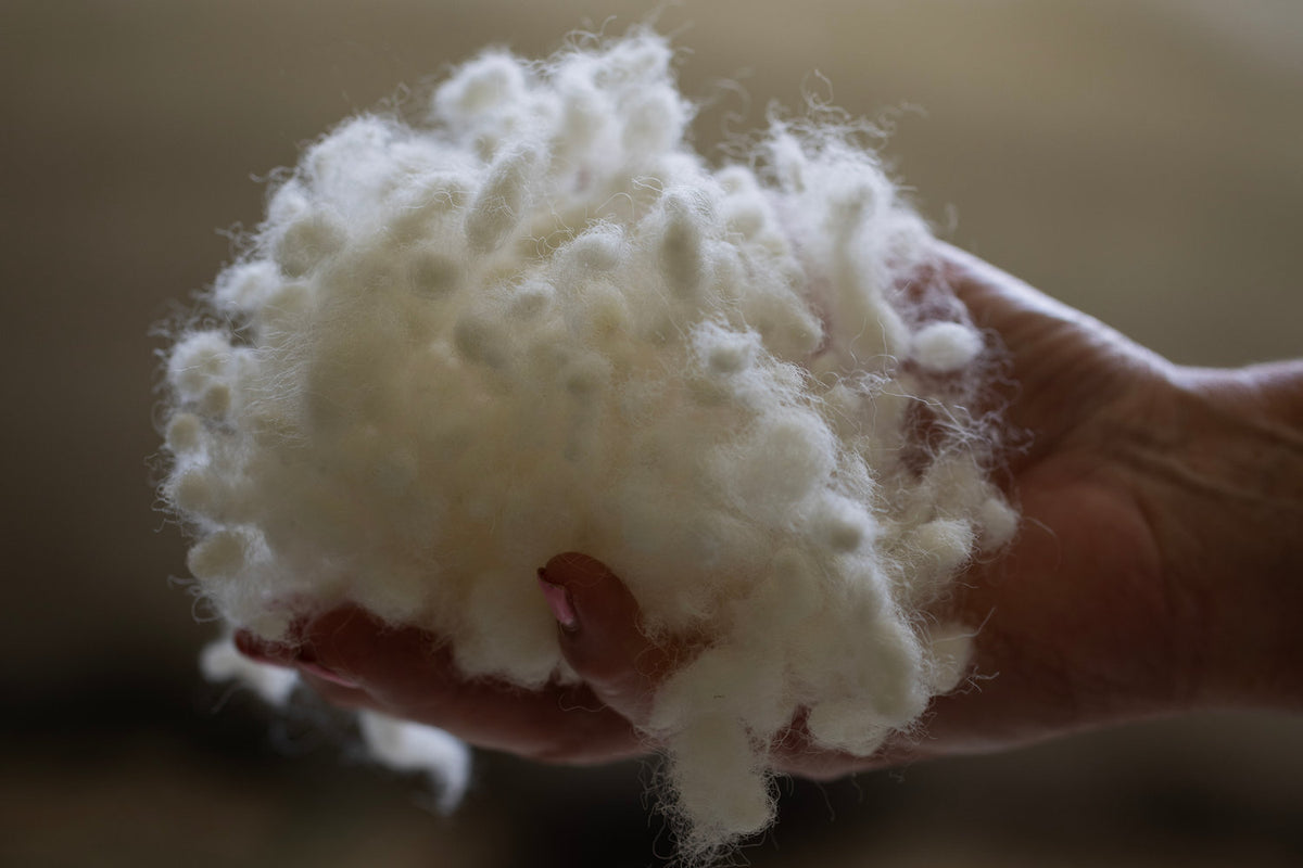 Wisewool Cloud Wool | Top Up Pack | Kind Face™ – Do Not Disturb Sleep ...